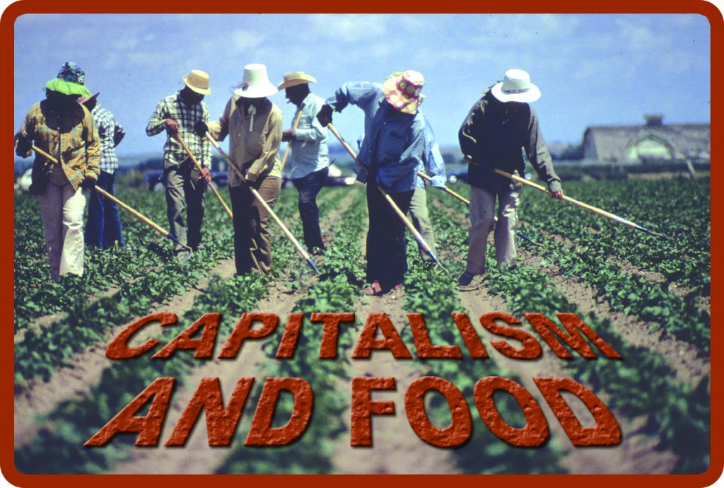 Capitalism and Food: Consuming Hunger – The Socialist Party of Great ...