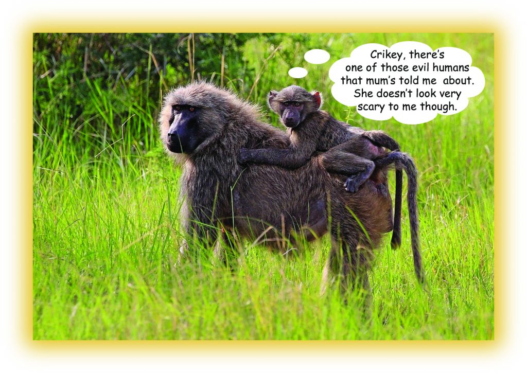 Pathfinders: Monkey Dramas – worldsocialism.org/spgb